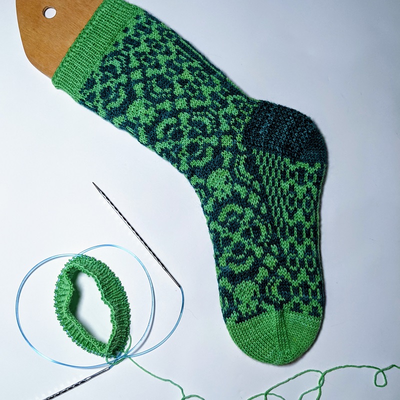 2022 Geek-A-Long: Sock Anatomy – Lattes & Llamas